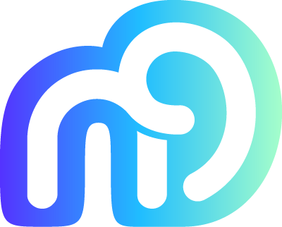 Noisy Elephant - The only digital agency you need